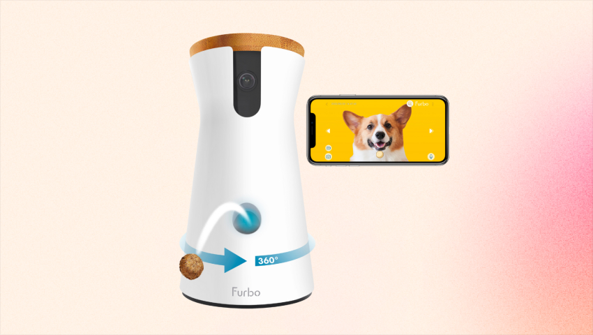 10 Best Smart Home Devices for Pet Owners to Buy in 2025